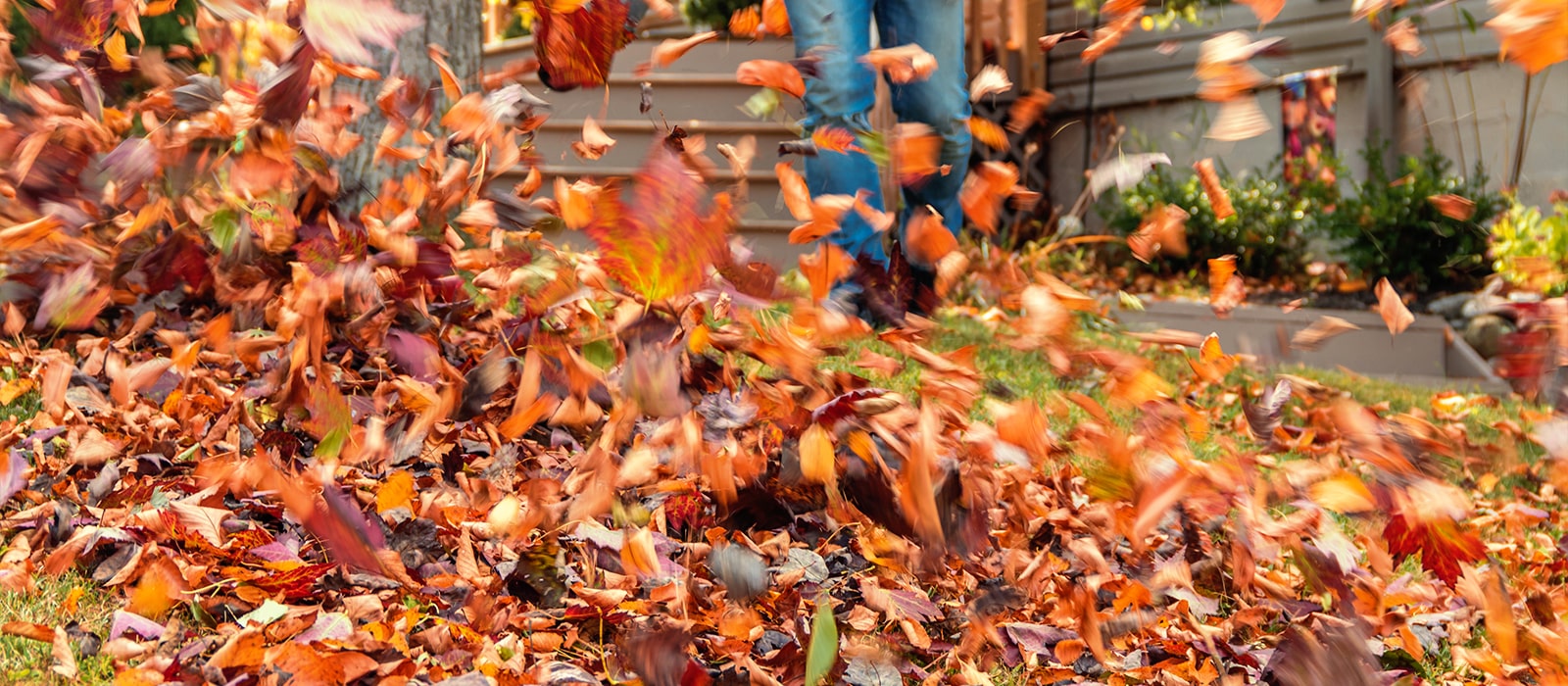 Leaves and Leaf Cleanup Service | Blake's Lawn Care | Wichita, Kansas